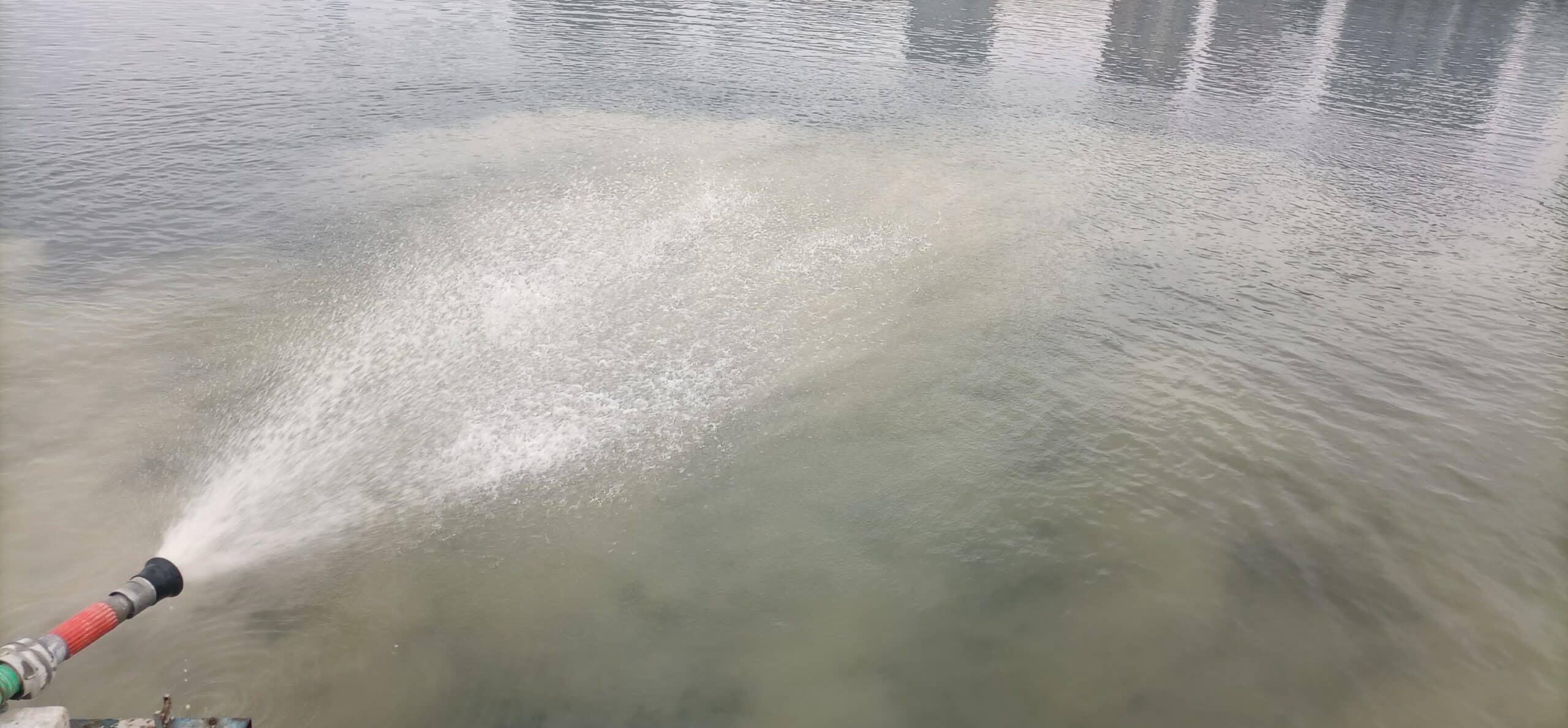Phosphorus Reduction In Lake Sha (Wuhan, China) Using Zeofixer